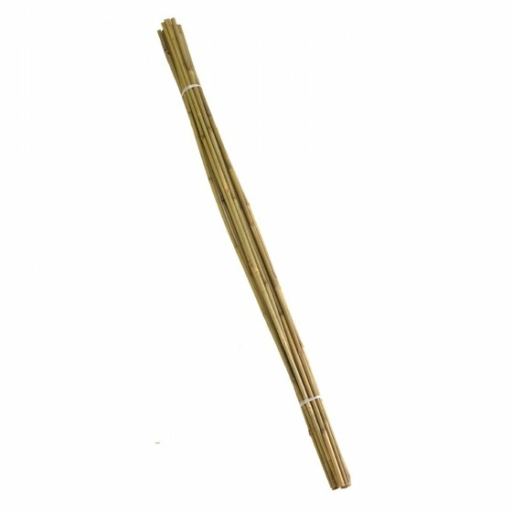 Bamboo Canes 120 cm bundle of 20 - Radway Bridge Garden Centre