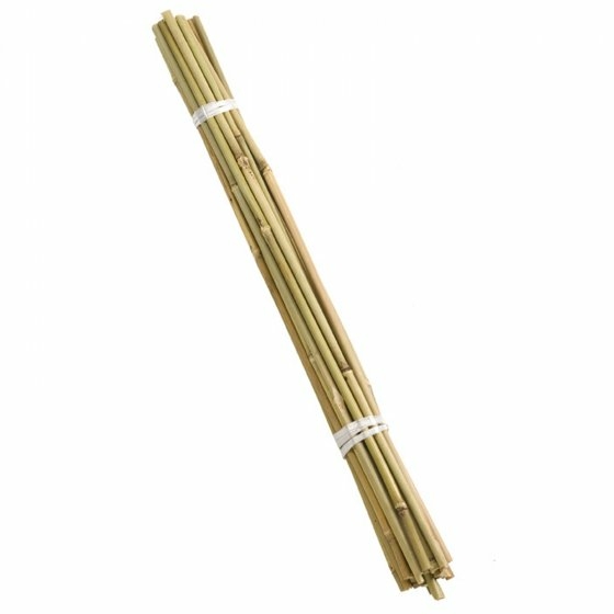Bamboo Canes - Extra Thick 180 cm bundle of 10 - Radway Bridge Garden ...