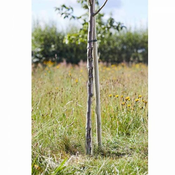 ROUND TREE STAKE 5.4CM X 200CM - Radway Bridge Garden Centre