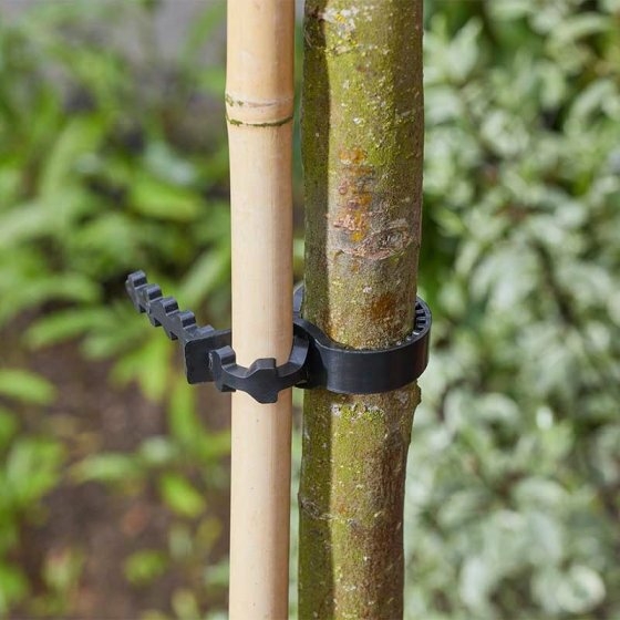 Tree Ties 50 cm - Radway Bridge Garden Centre